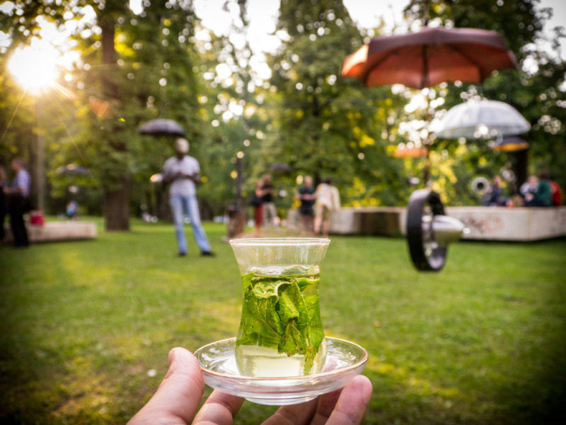 The Speakers / Aswarm